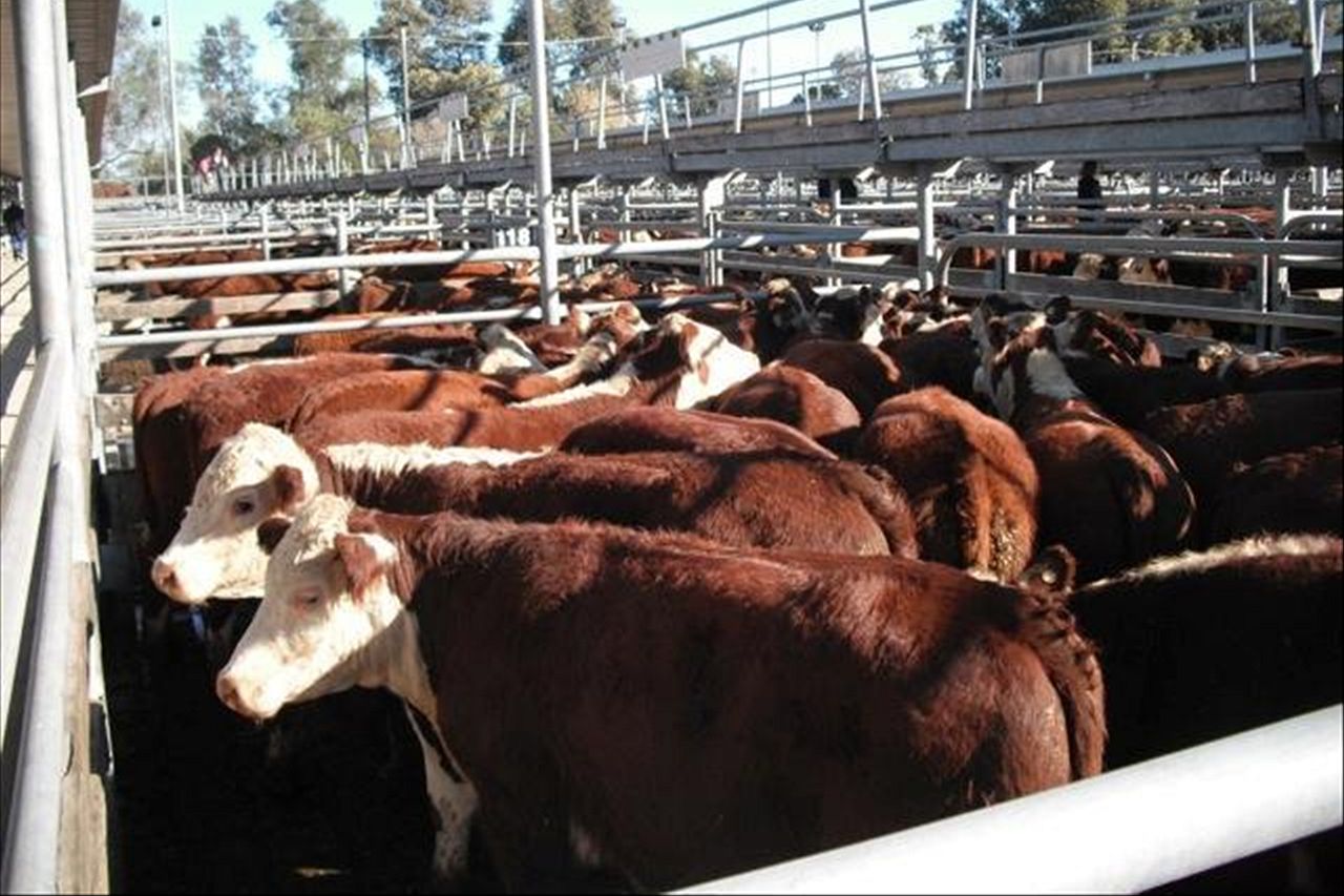 Northern Territory Country Hour - ABC listen