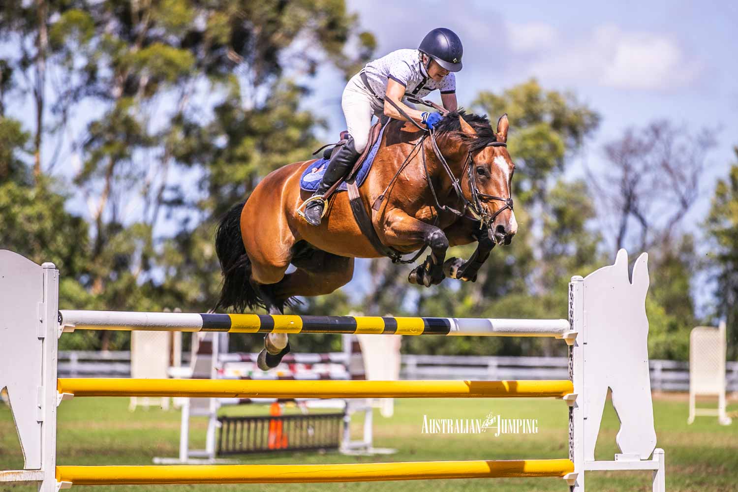 Olympian Vicki Roycroft home after suffering burst aorta at Sydney ...