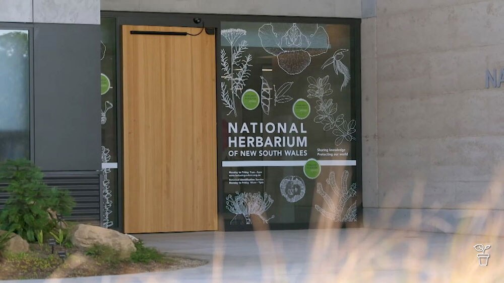 Preserving Plants - Gardening Australia