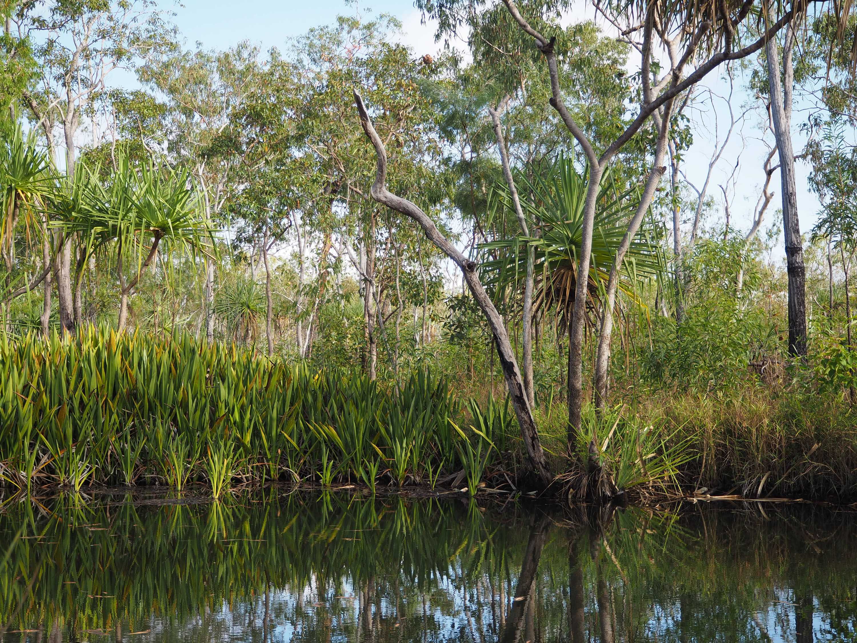 Closing the gap: Marketing firm and Indigenous community team up for ...
