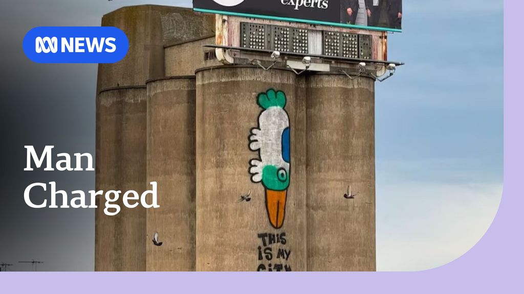 Alleged creator of 'Pam the Bird' graffiti has been charged - ABC News