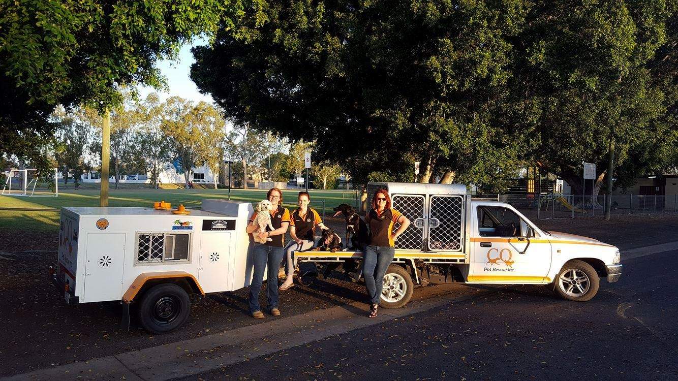 Operation Desperate Measures giving unwanted regional Queensland pets ...