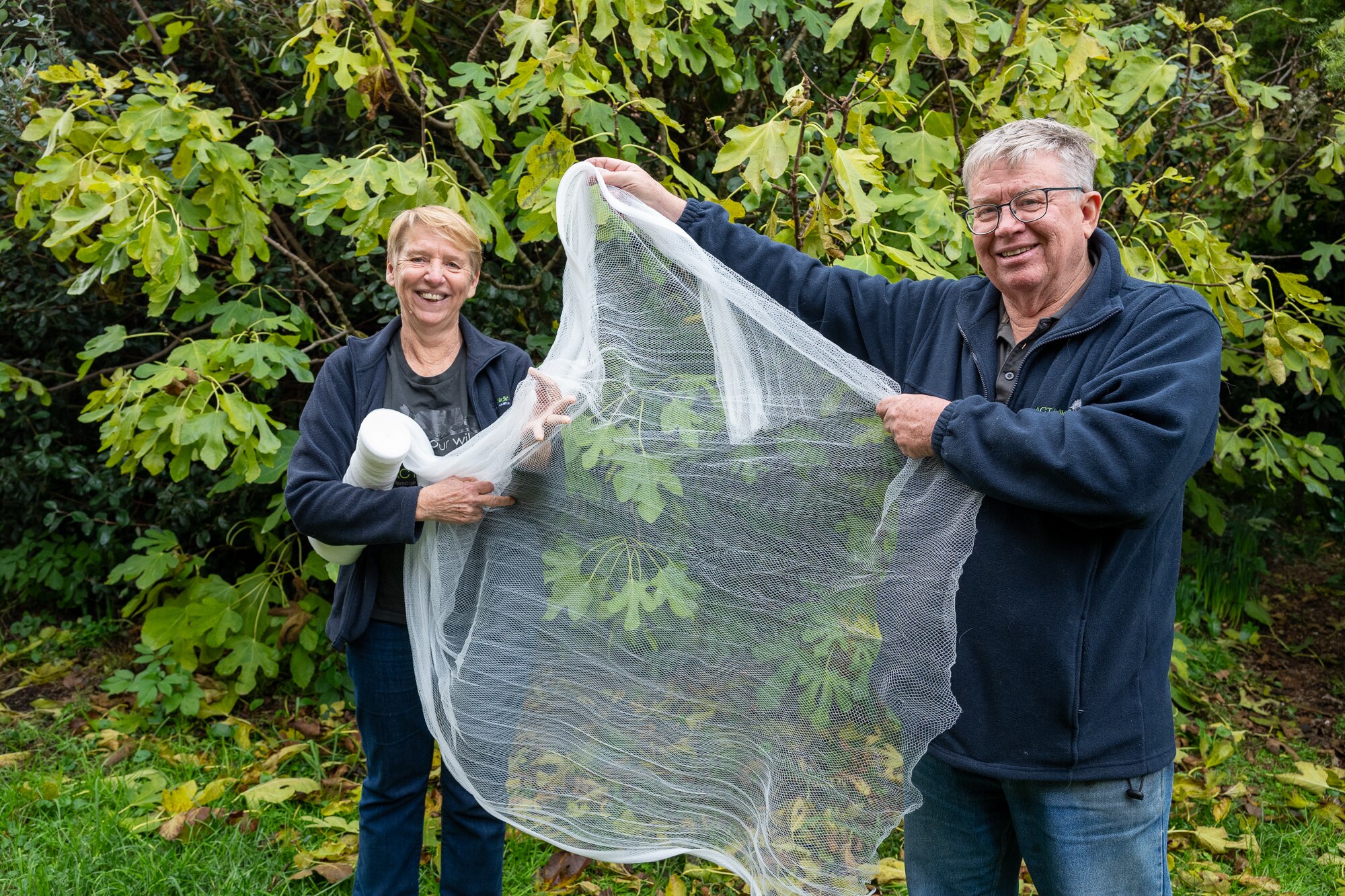 Fruit tree netting that can entangle flying foxes and birds now banned ...