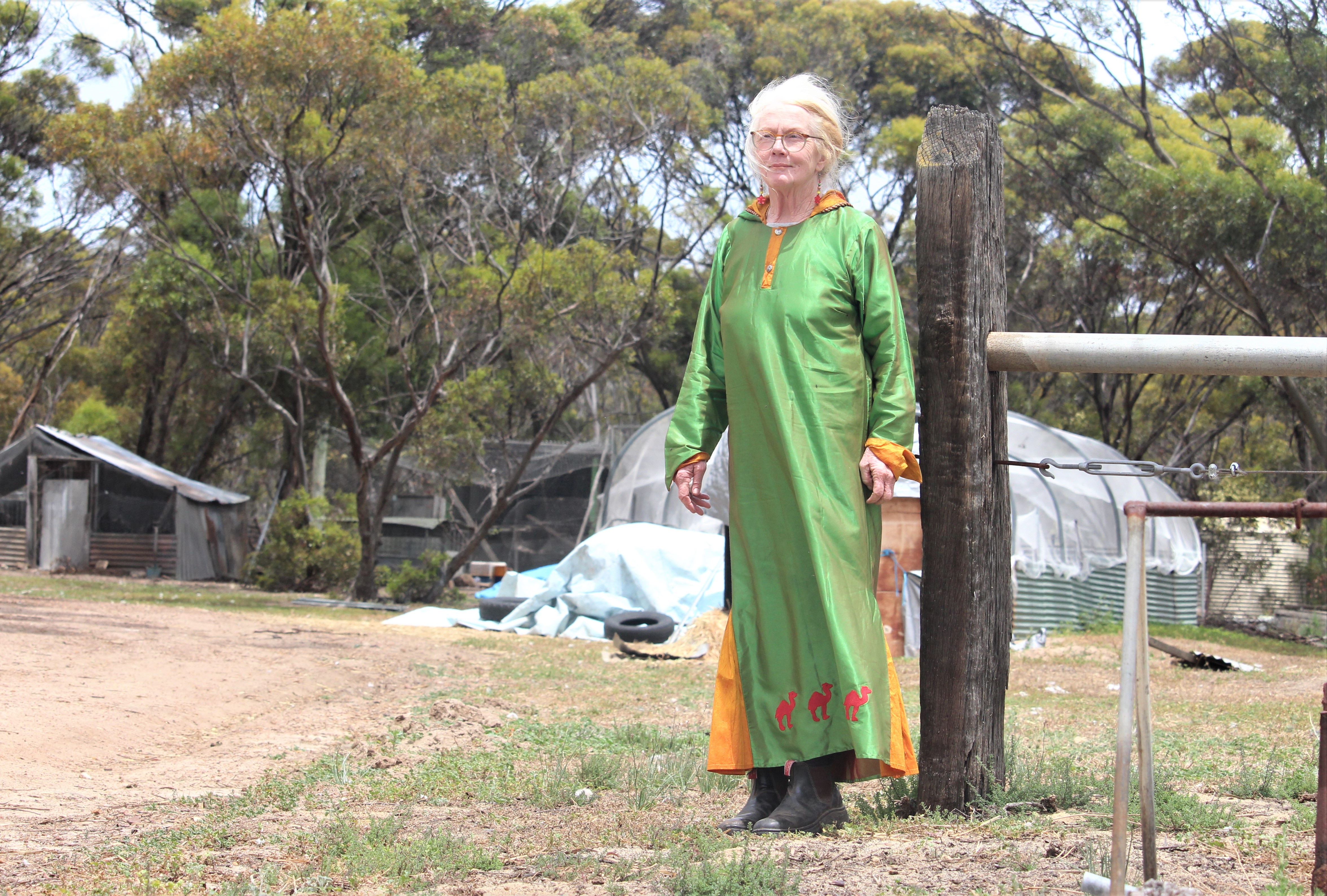 Ravensthorpe camel museum born from lifelong love of 'maligned' animal ...