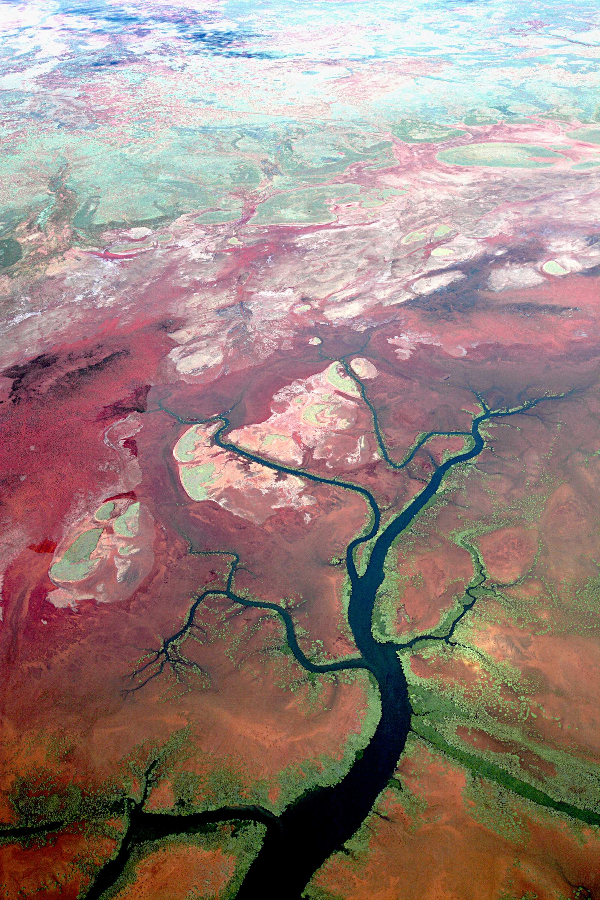 Ecological Society of Australia announces winners of nature photography ...