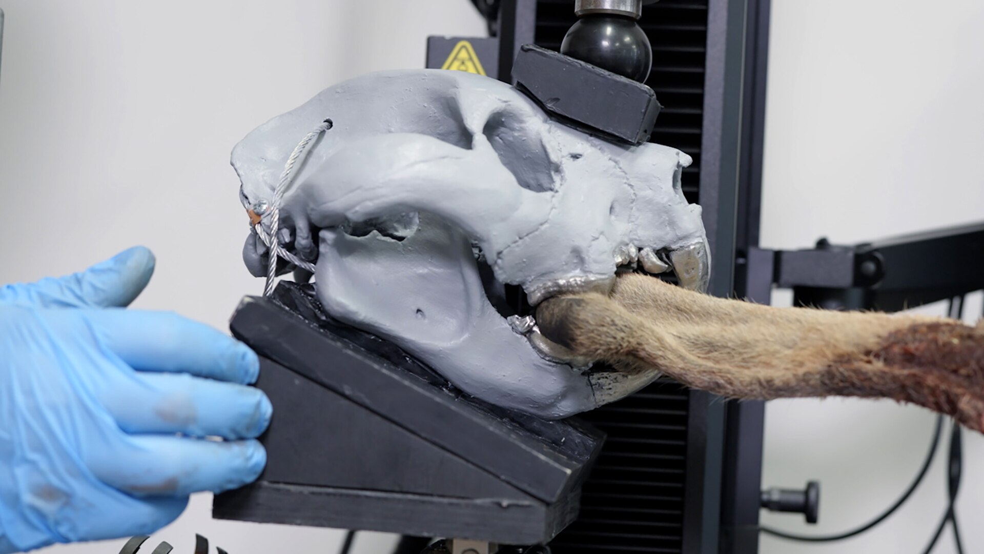 Technologies - ABC Education