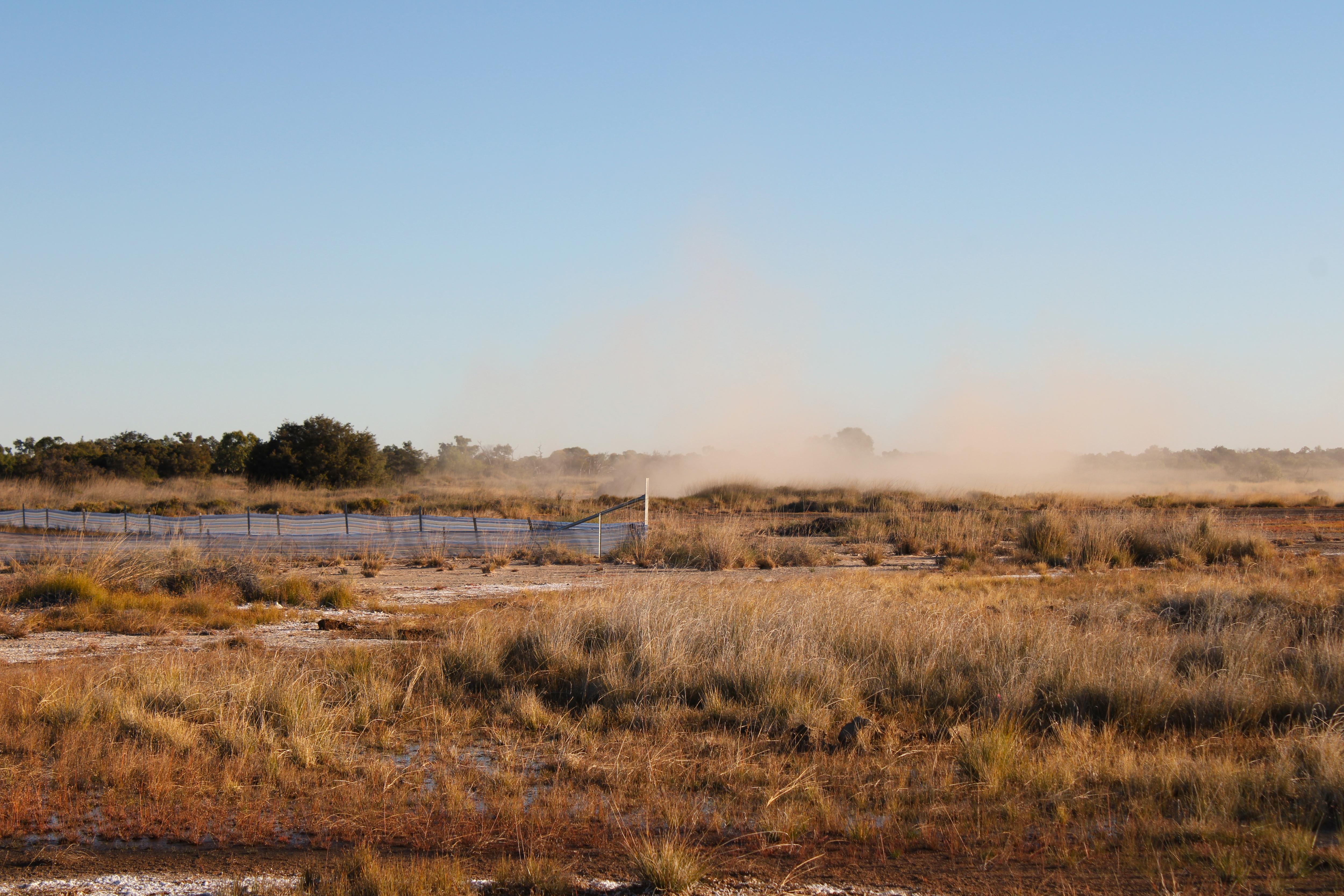 Newly protected Edgbaston Reserve in Queensland home to 37 species ...
