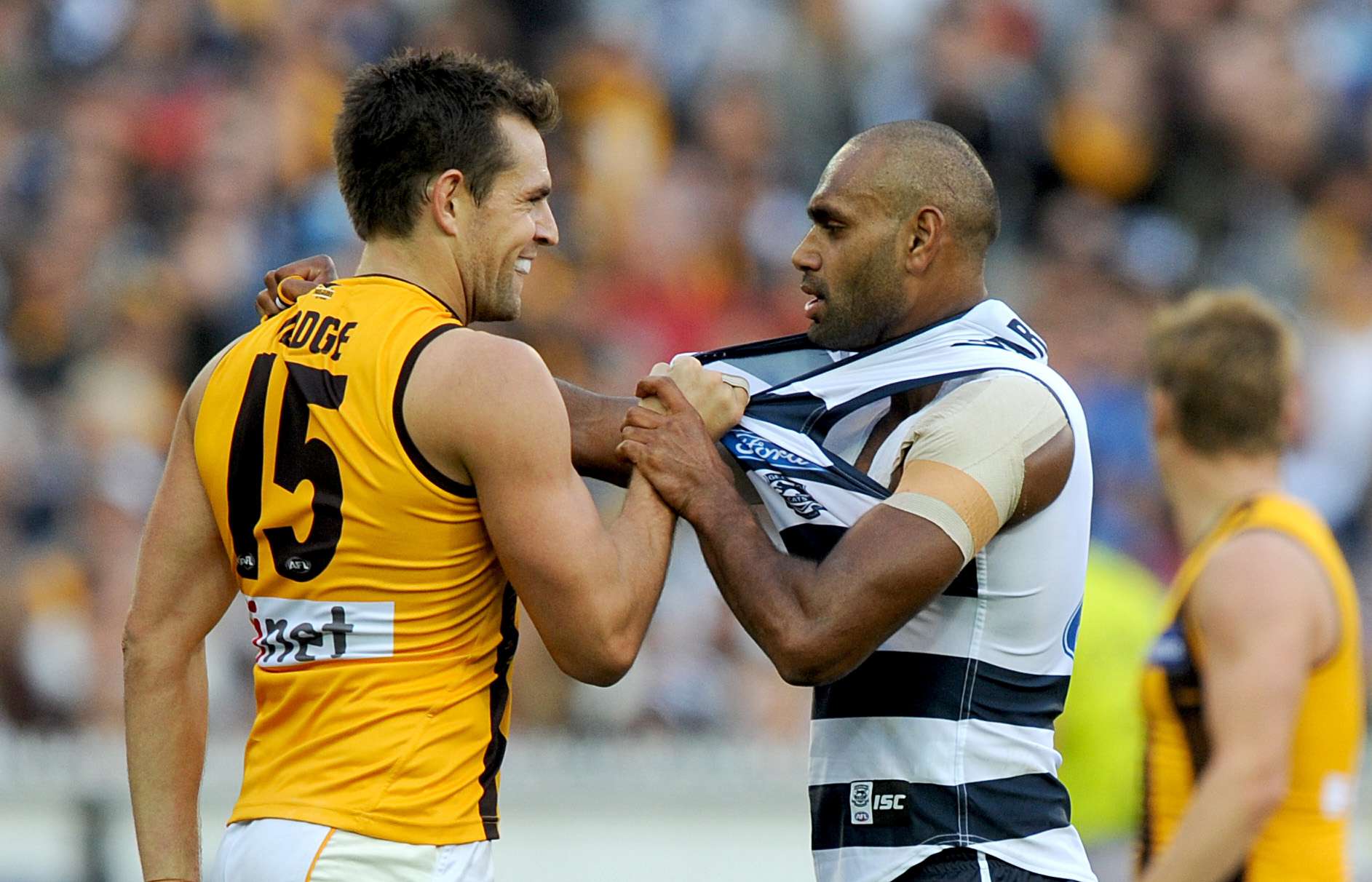 Hawthorn v Geelong: AFL finals streaming and score updates - ABC News