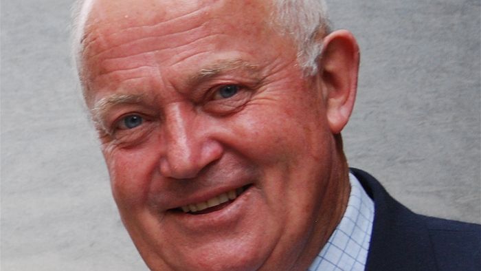 MP to paint electorate bridge himself - ABC News