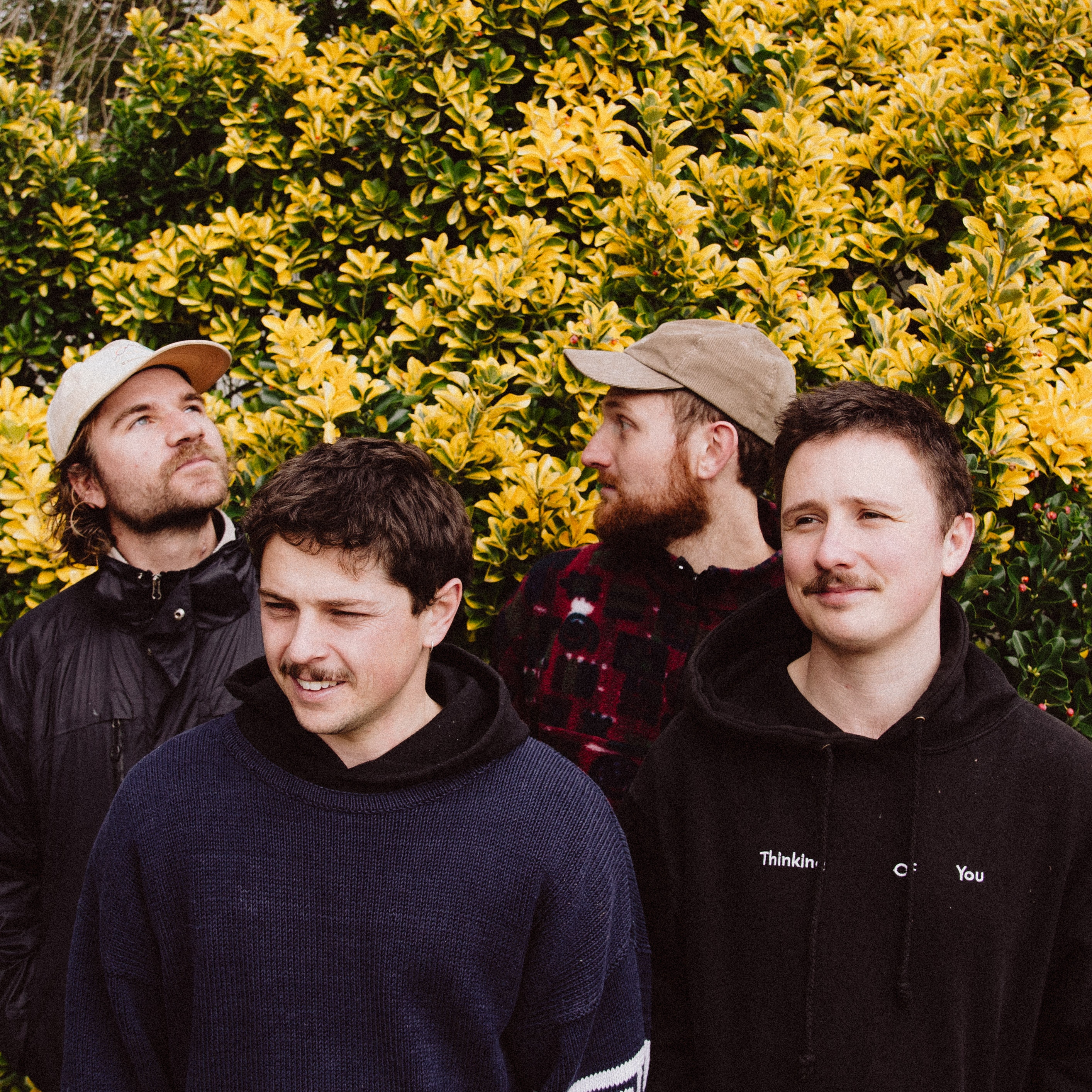 Home and Hosed: take an indie rock dip with Divers - triple j