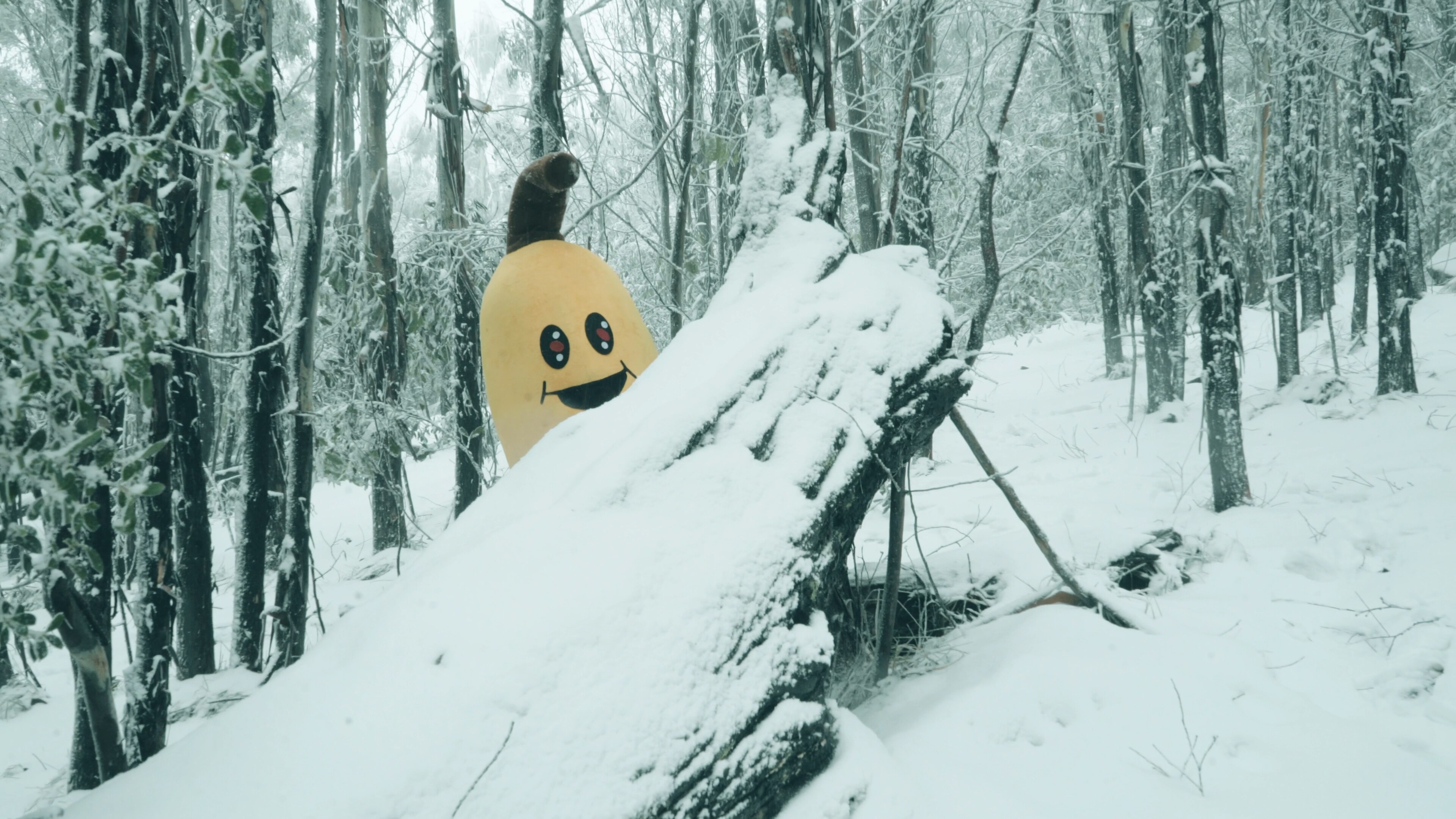 Feature Video: Private Function - Seize and Destroy - ABC Rage