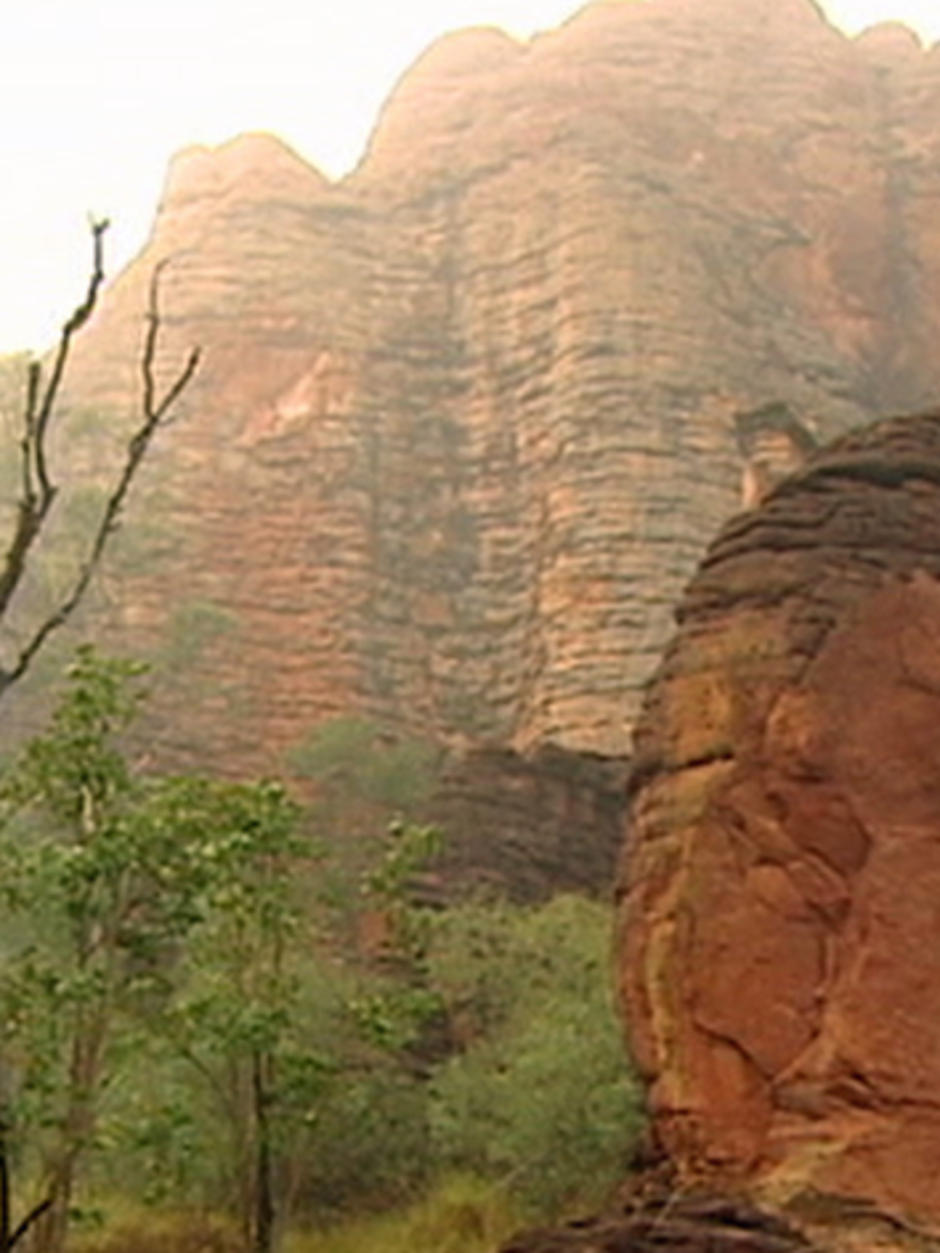 Indigenous rock art found in the NT one of just three such examples ...
