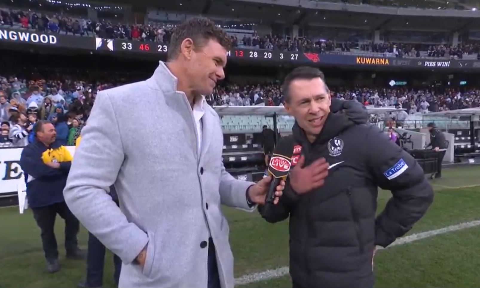 Explaining the most viral Kamala Harris memes, from coconut trees to ...