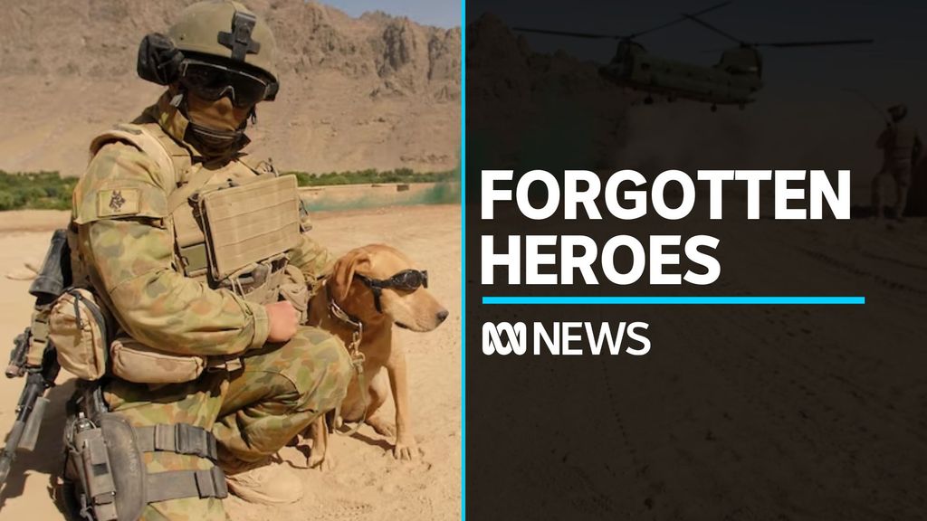 Calls for more recognition for Australia's war animals - ABC News