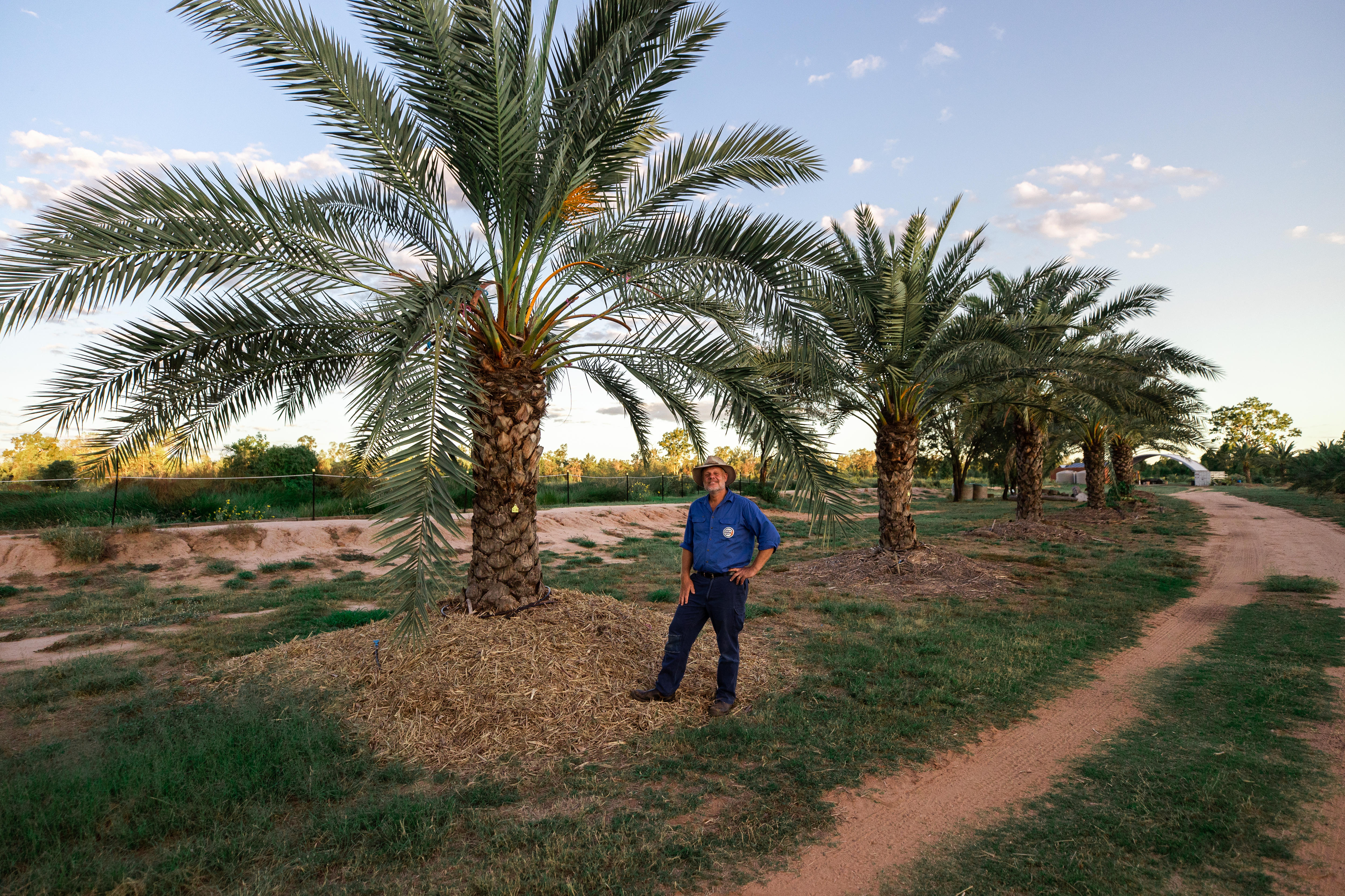 Outback Queensland fruit and vegetable growers buck agricultural trend ...