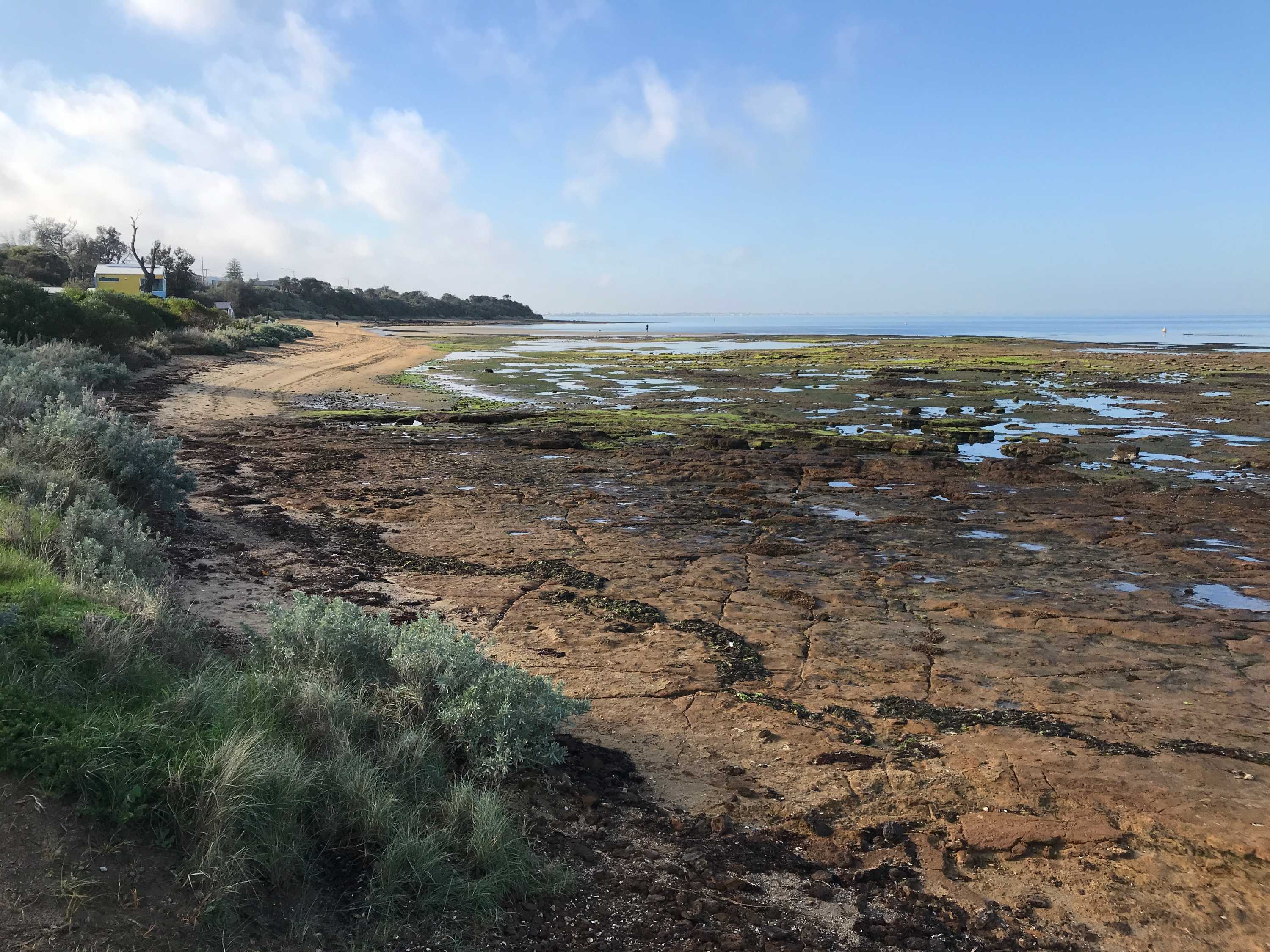 Police investigate mystery of woman's death after bones found in ...