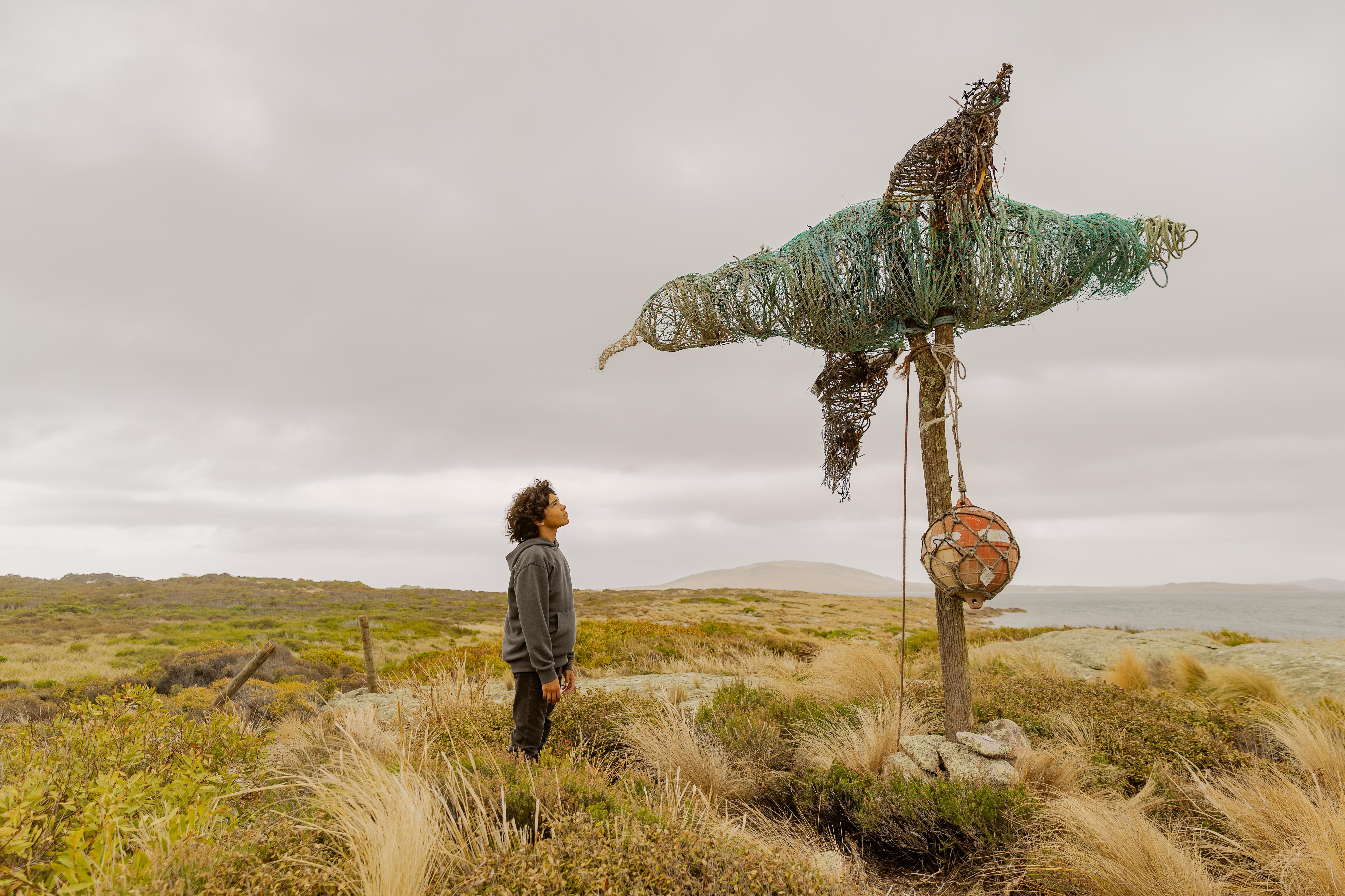Moonbird takes Big Dog Island and mutton birding to the world - ABC listen