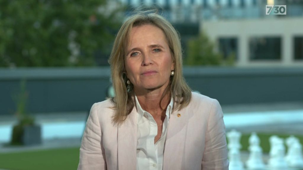 Sharon Lewin on the efforts to contain the spread of coronavirus - ABC News