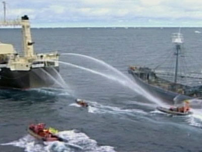 US satellites 'spying' on anti-whaling ships - ABC News