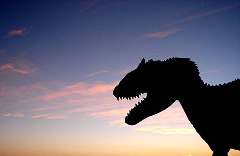 Scientists unearth Australian T rex - ABC News