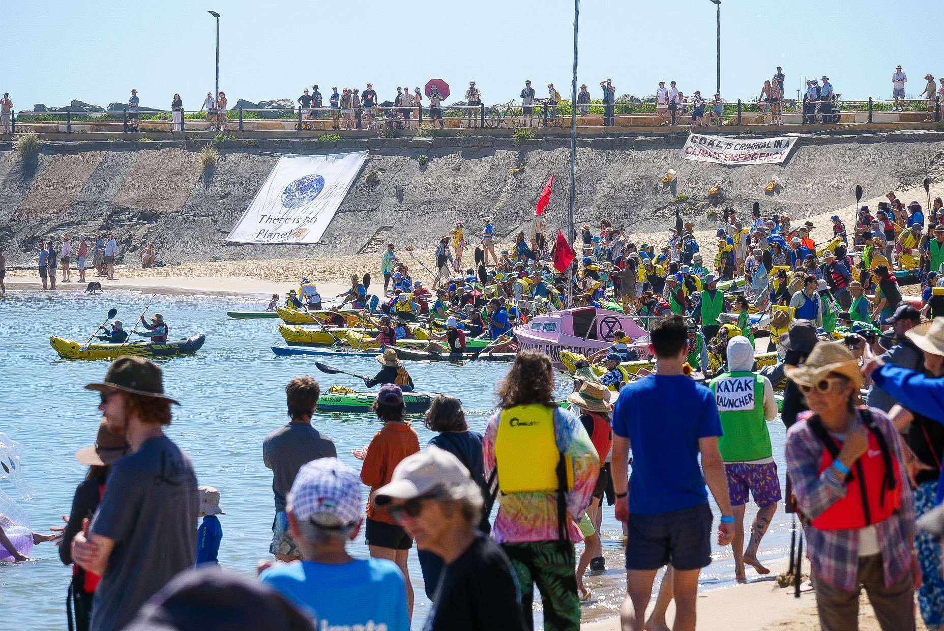 Port of Newcastle shipping resumes after 170 anti-coal protesters ...