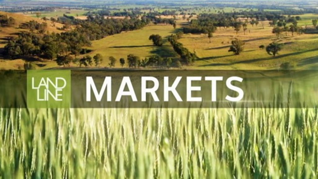 ABC Rural - ABC News