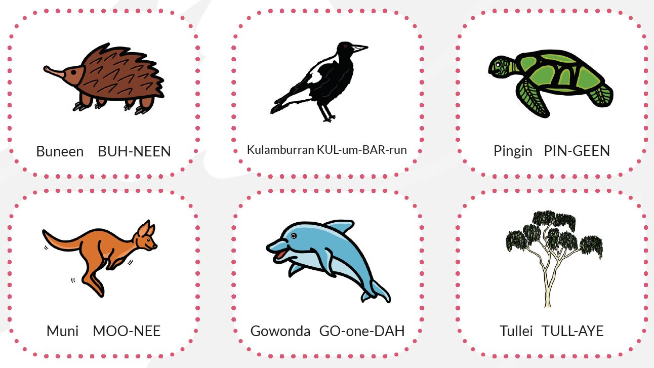 Languages Of Our Land: Early Education resources - ABC Kids