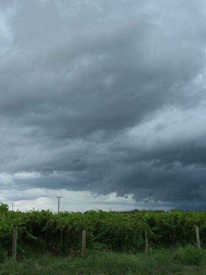Clouds falling according to NASA research - ABC listen