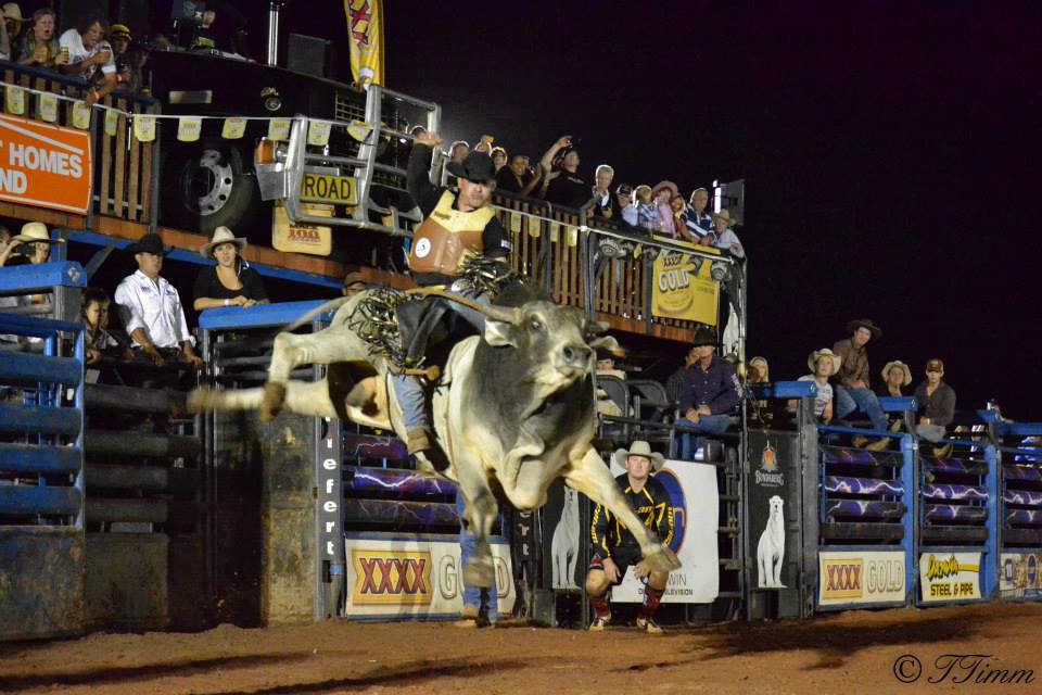 Champion bucking bull 'Rocksalt' retires from the Australian rodeo ...