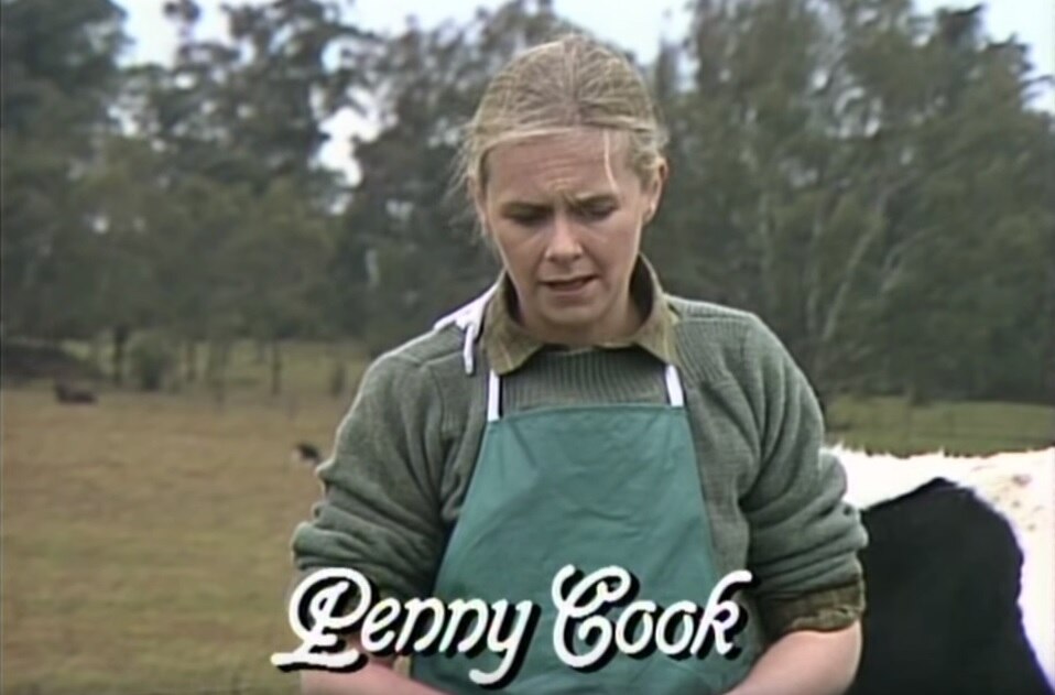 A Country Practice actor Penny Cook dies aged 61 - ABC News