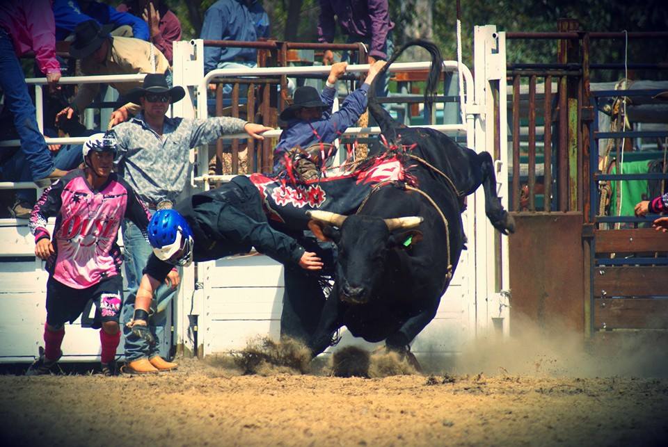 WA hosts national rodeo - ABC News