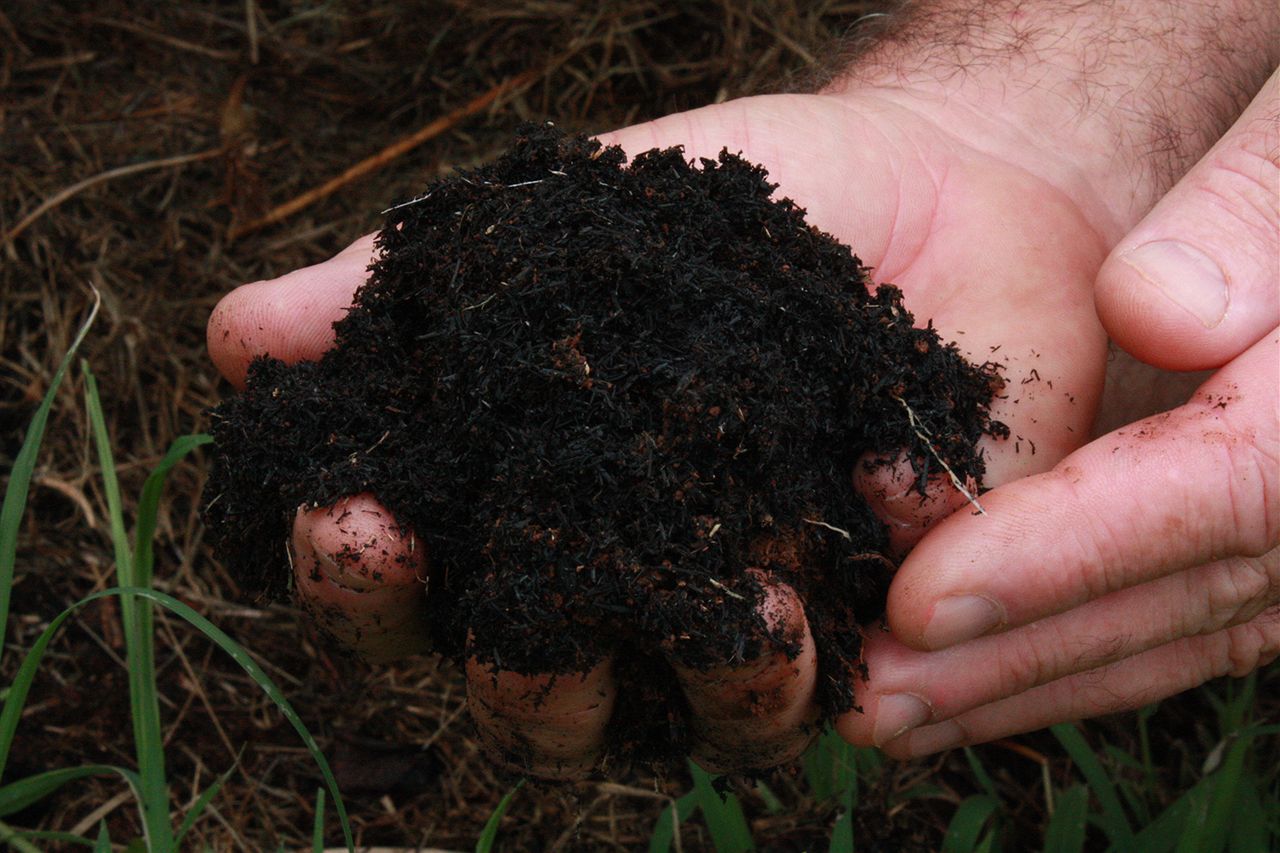 Ballina Council to build a biochar plant - ABC News