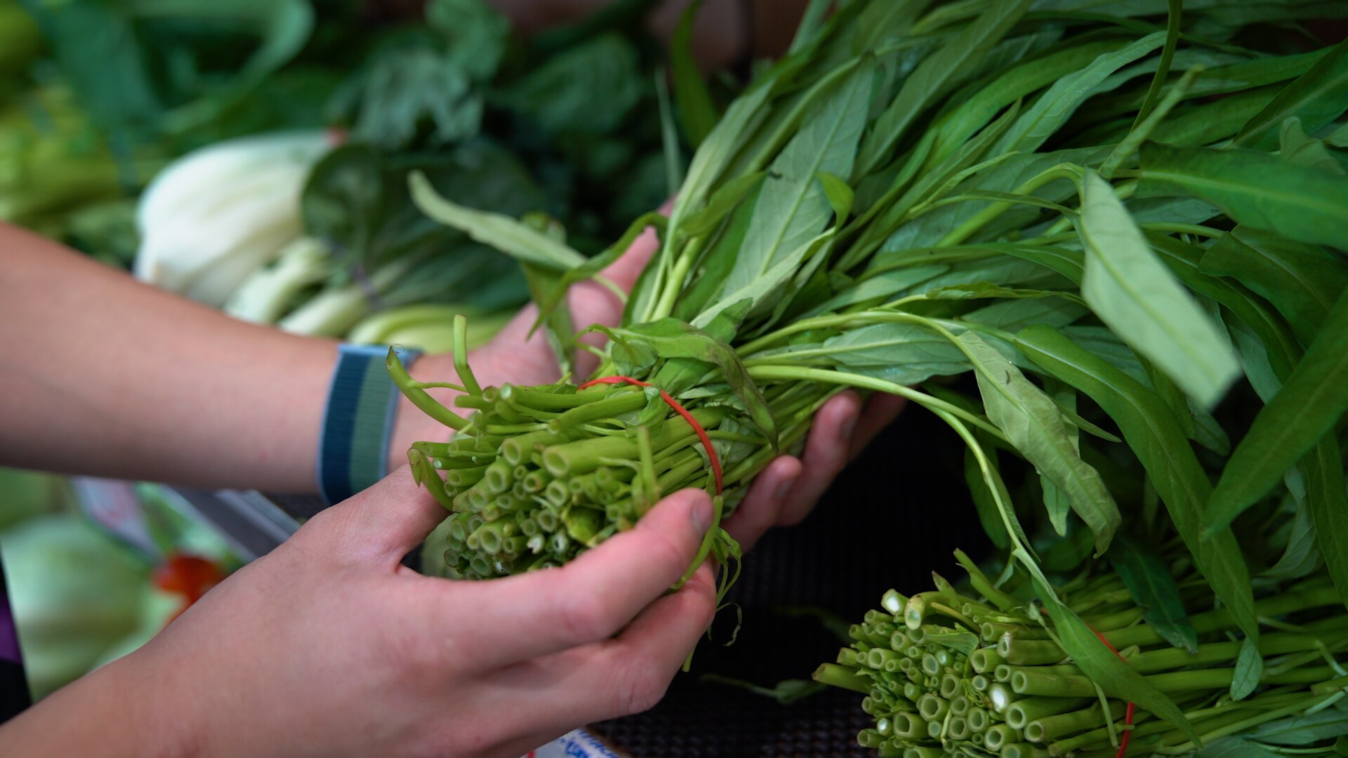 Fruit Nerd Thanh Truong reveals his top six leafy Asian veggies to cook ...