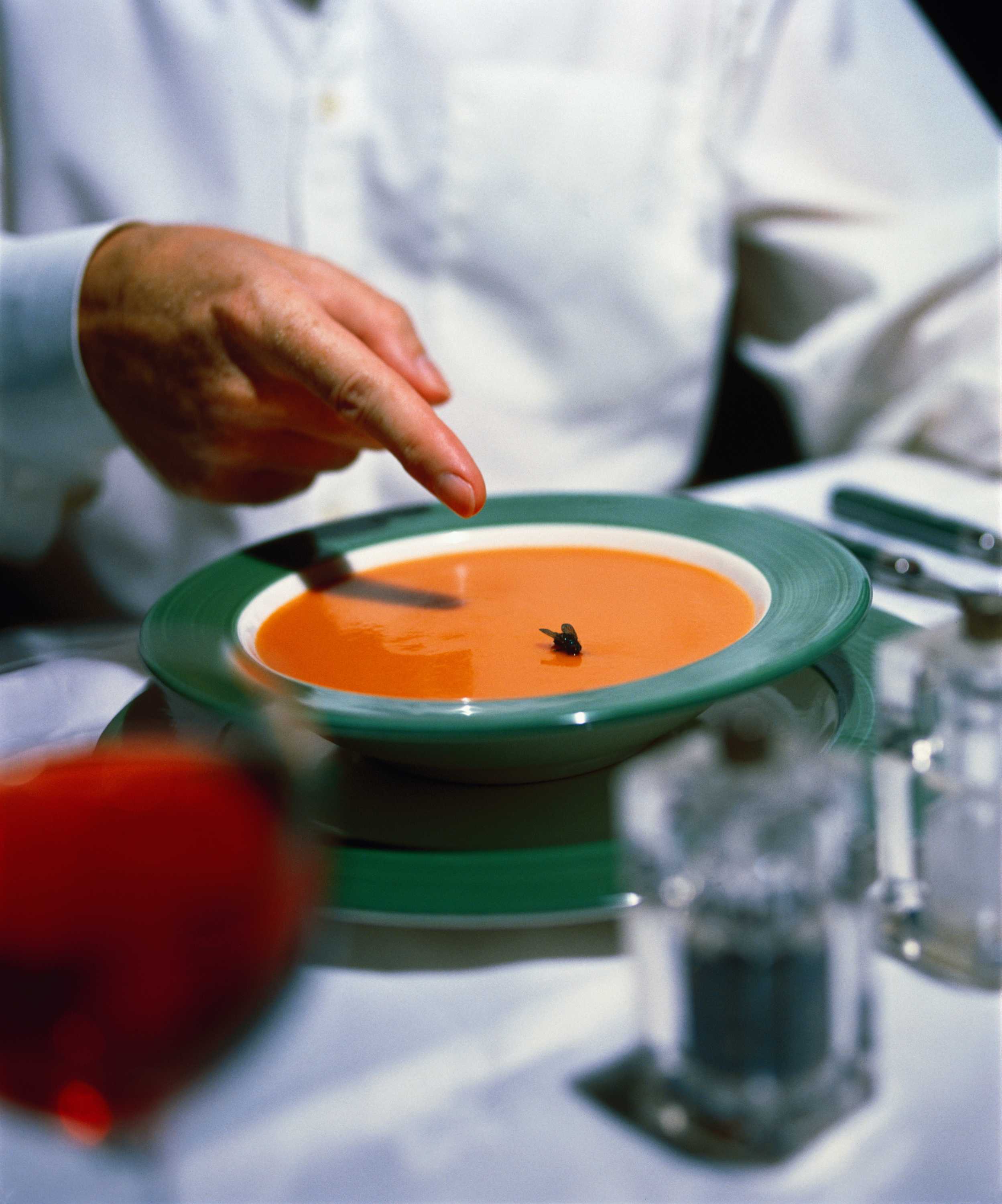 Too Hard Basket: 'Waiter, there's a fly in my soup' - ABC listen