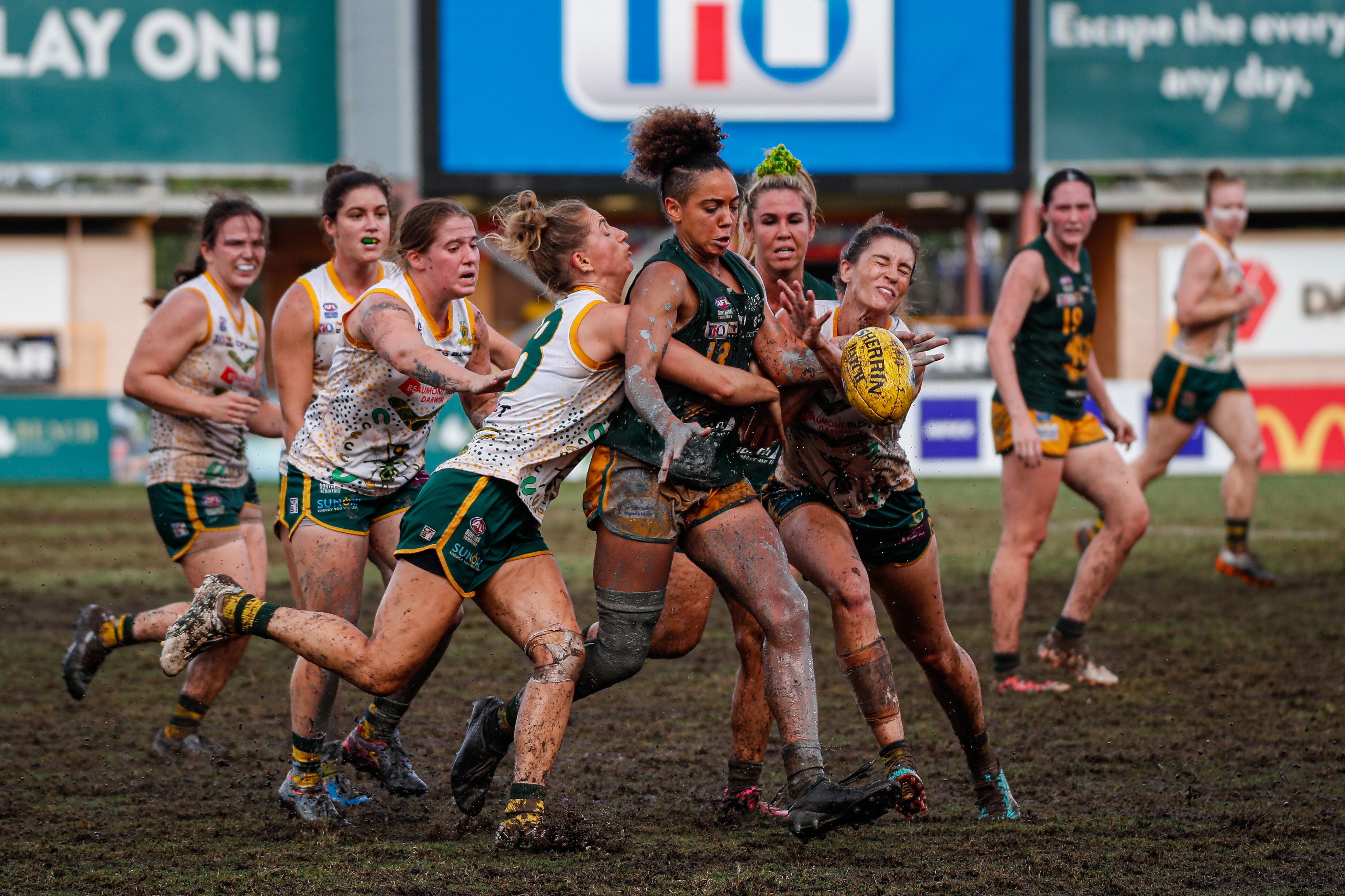 Race to turn Darwin 'buffalo wallow' back into grass in time for NRL ...