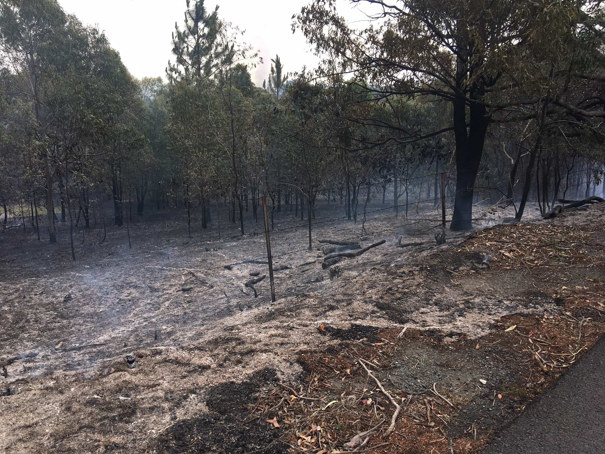 Queensland weather: Bushfires near Rockhampton and Brisbane contained ...