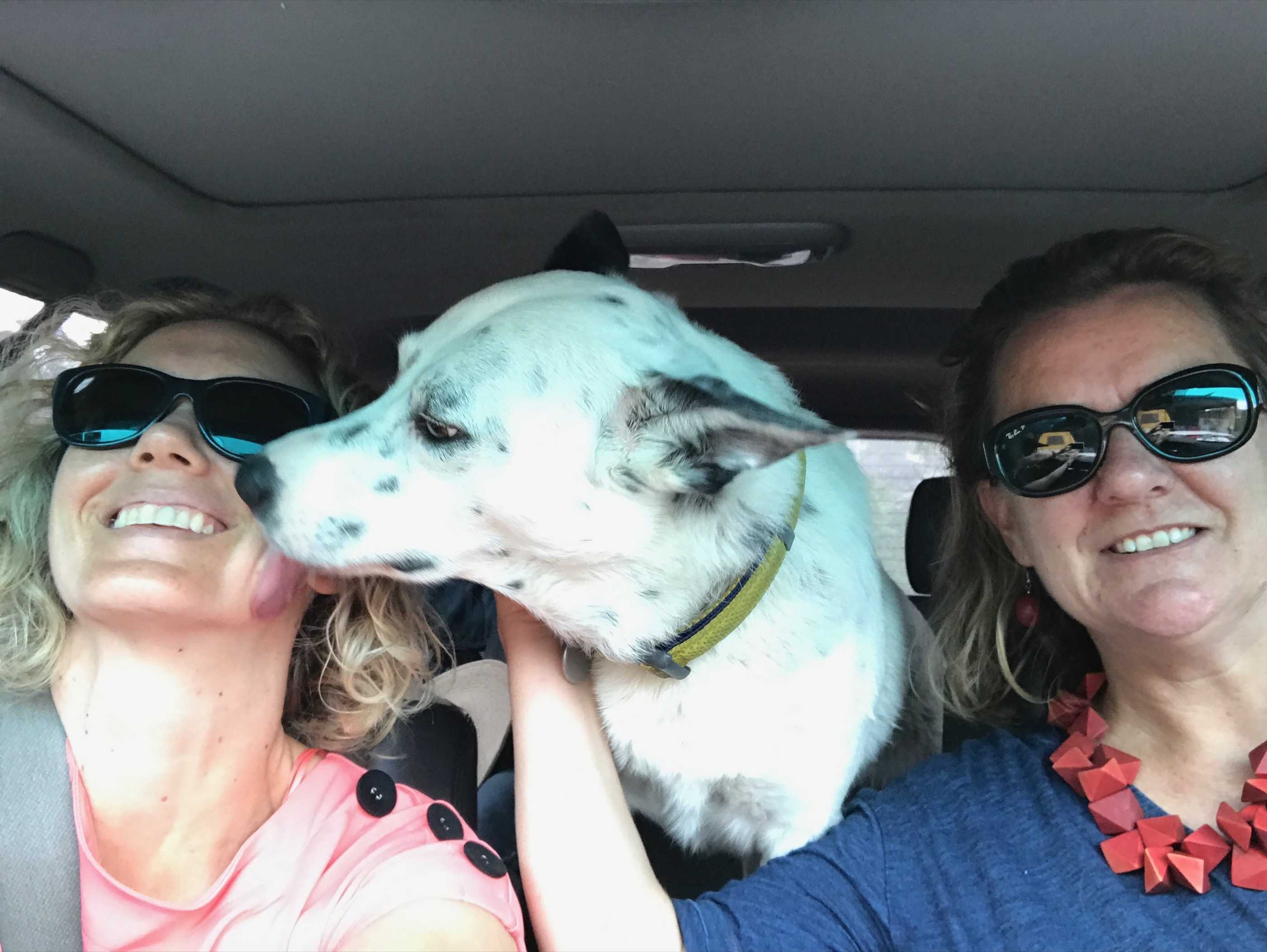 Aussie rural romance authors romp on as tales of love and fortune in ...