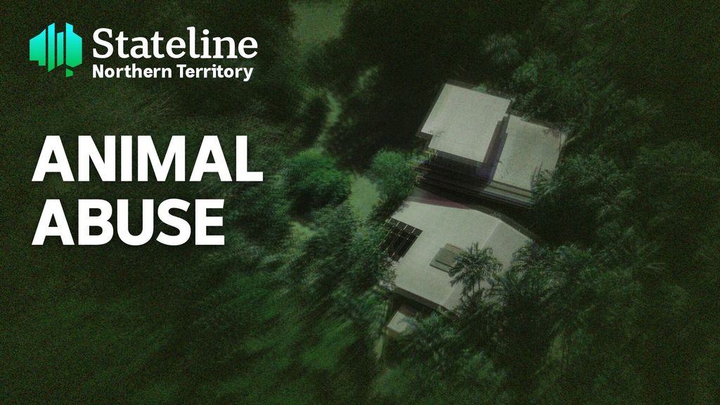 Animal Cruelty - Topic - ABC News