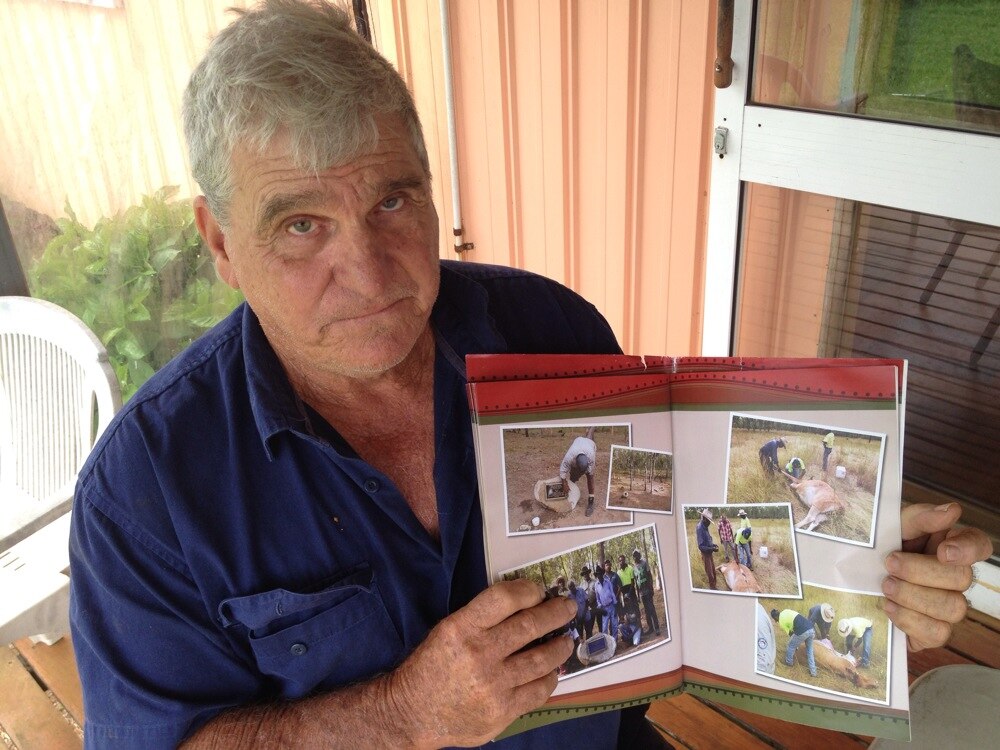 Cape cattle kill prompts grazier outrage - ABC News