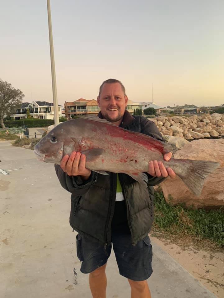 Sharks spotted near popular children's swimming spot in Geraldton - ABC ...