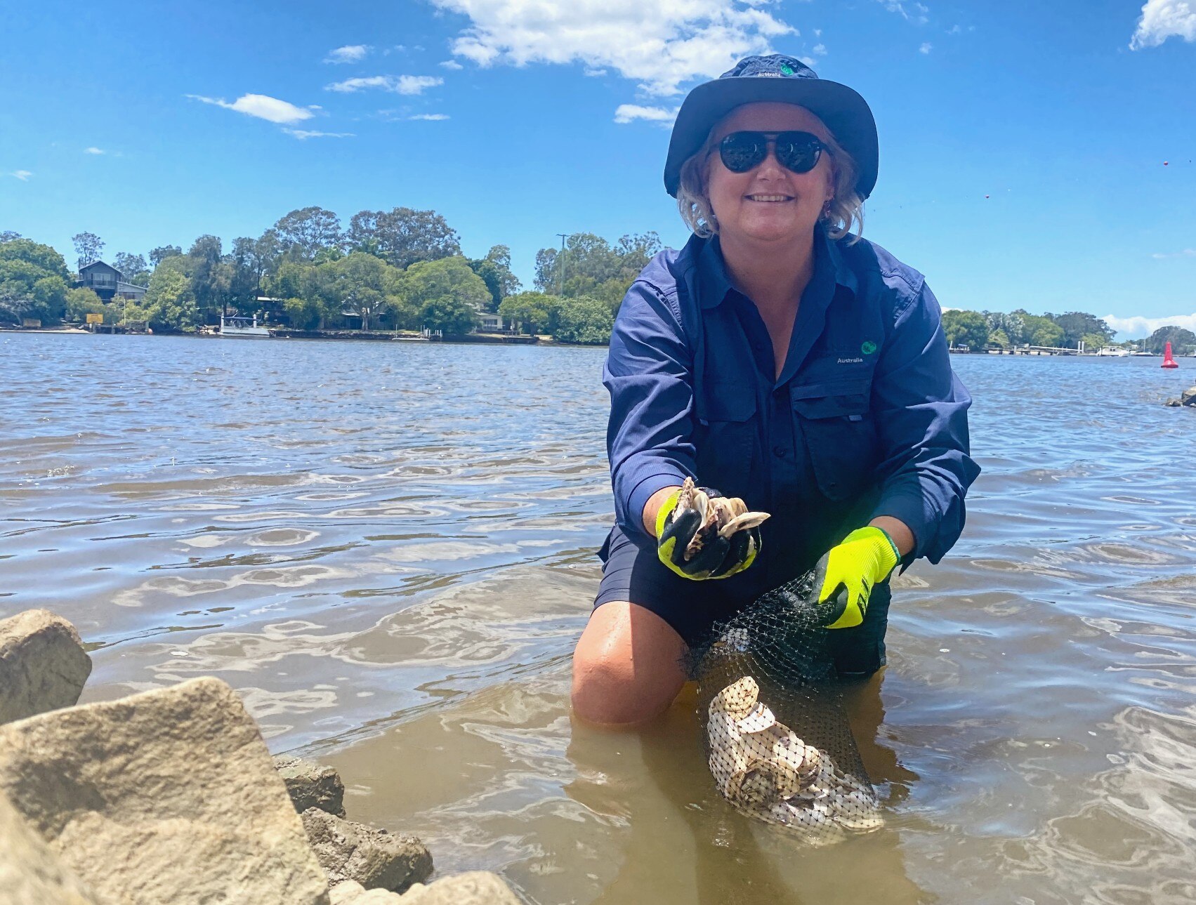The Nature Conservancy oyster project adding 'ecosystem engineers' to Noosa River - ABC News