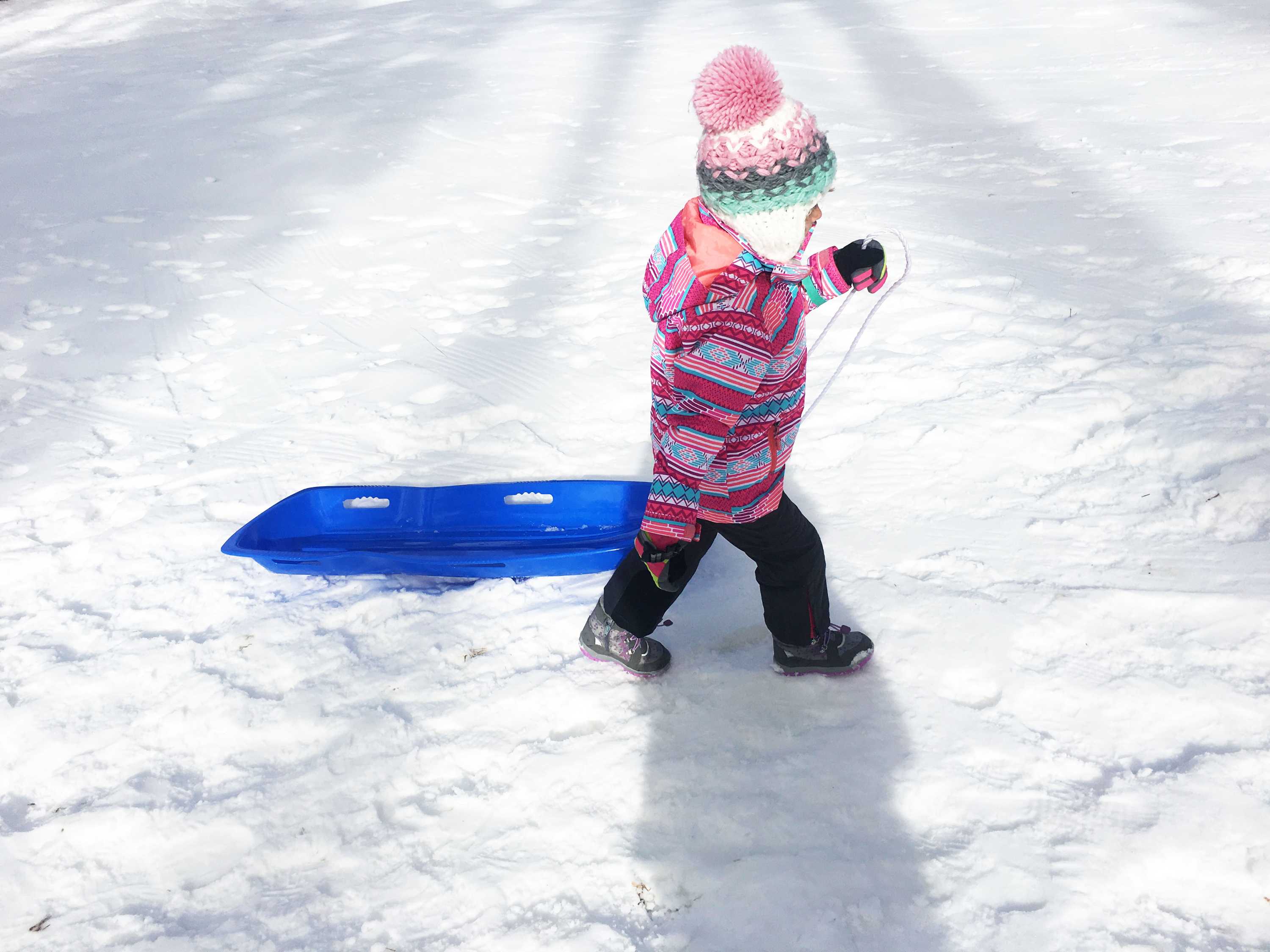 Canberra in winter: A handy survival guide for newcomers - ABC News