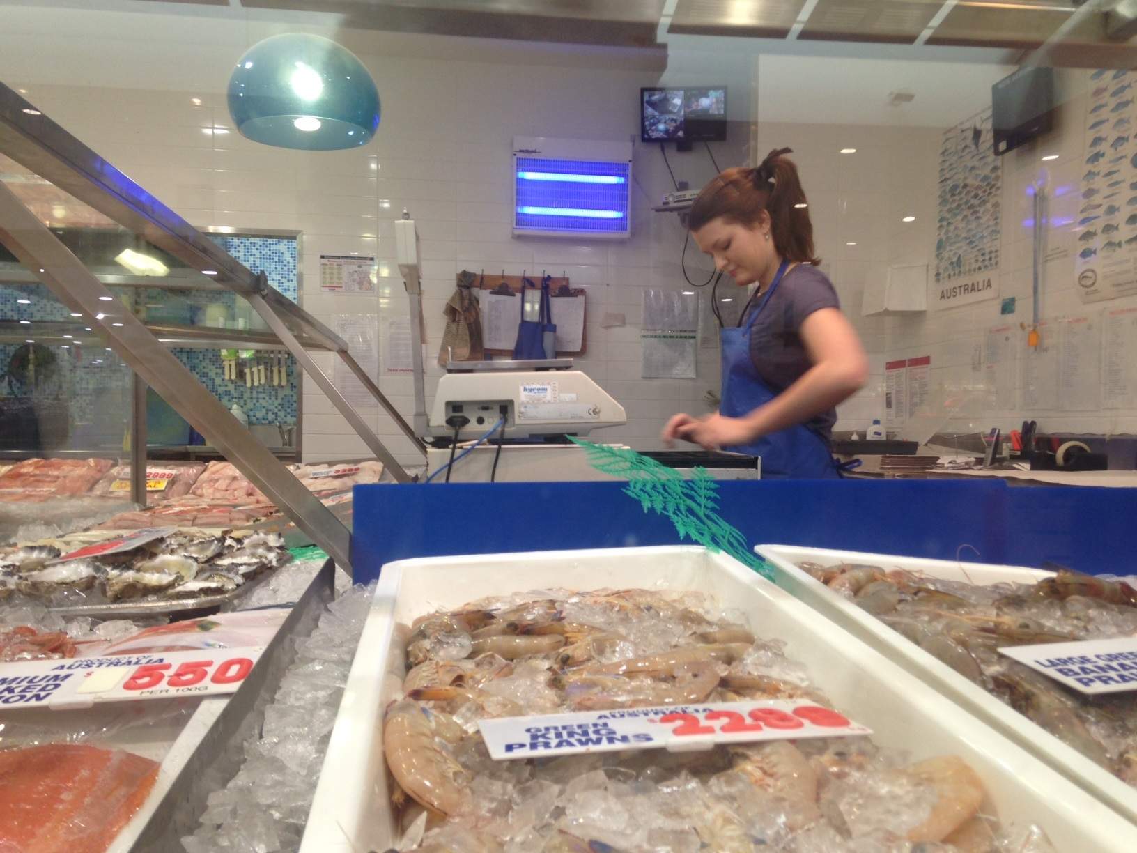 Springwood and Winmalee residents search for normality amid bushfire ...