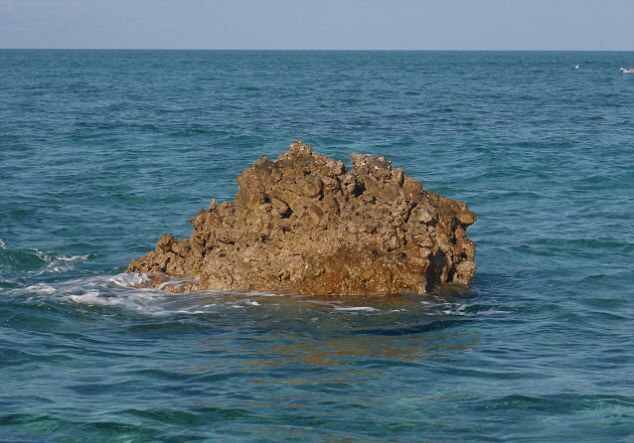 Timeline: Woodside's rough ride amid plunging oil price - ABC News