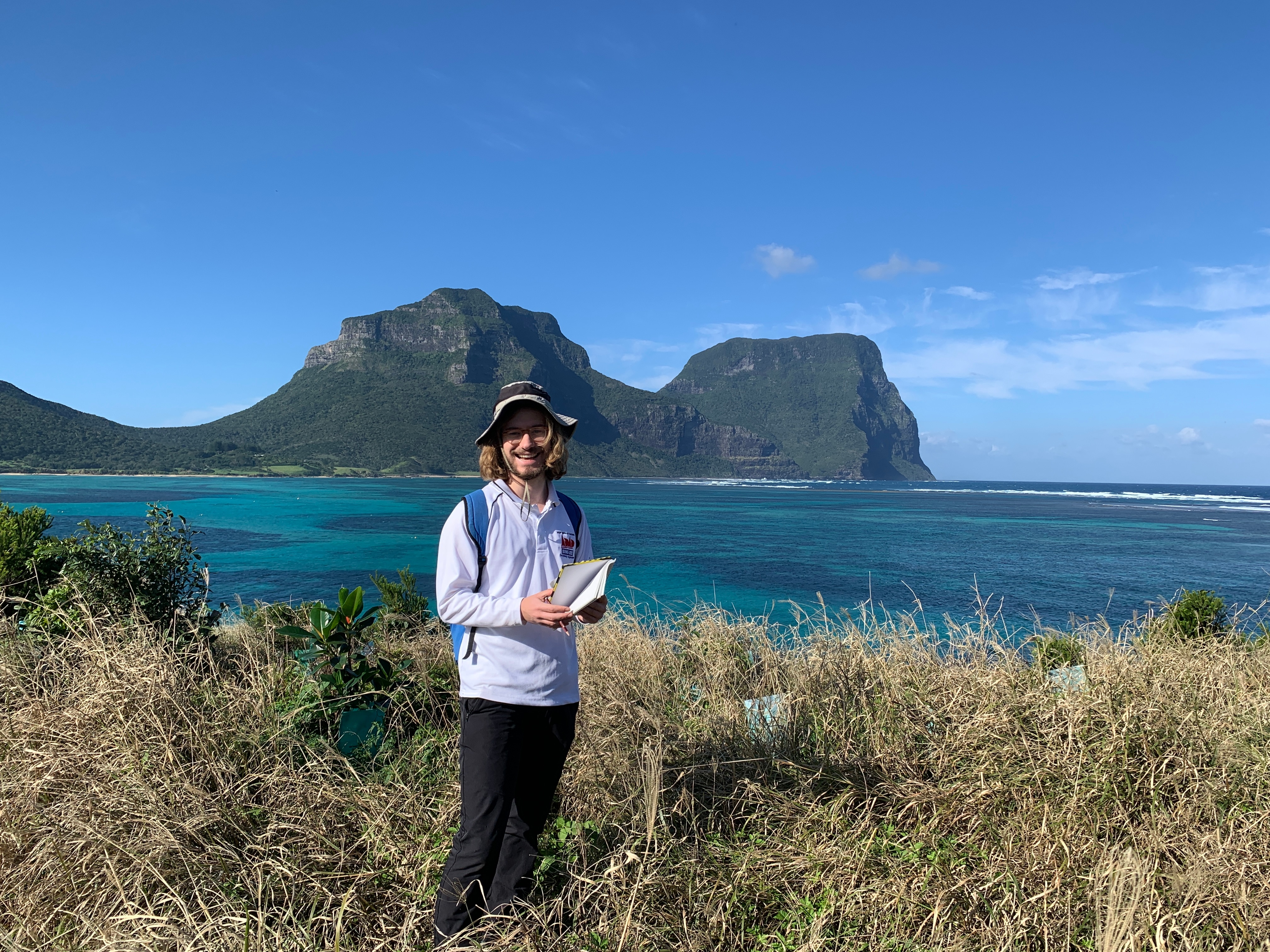 Lord Howe Island invertebrates boom after rodent eradication - ABC News