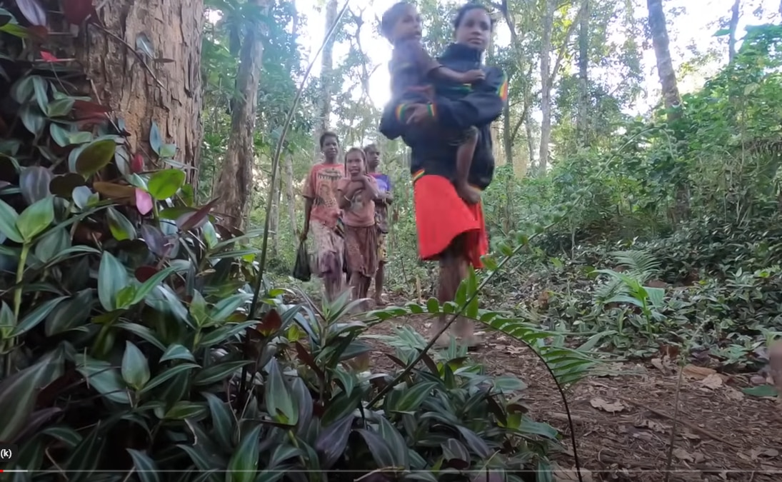 Chinese logging company which breached agreement in Vanuatu hopes for a ...