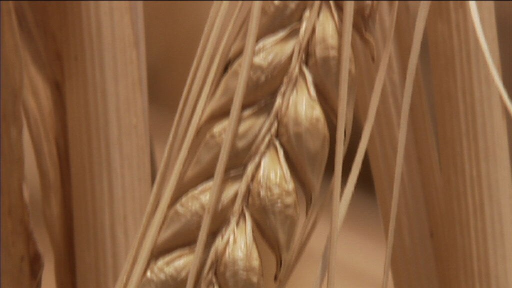 Long-Life Beer - ABC News