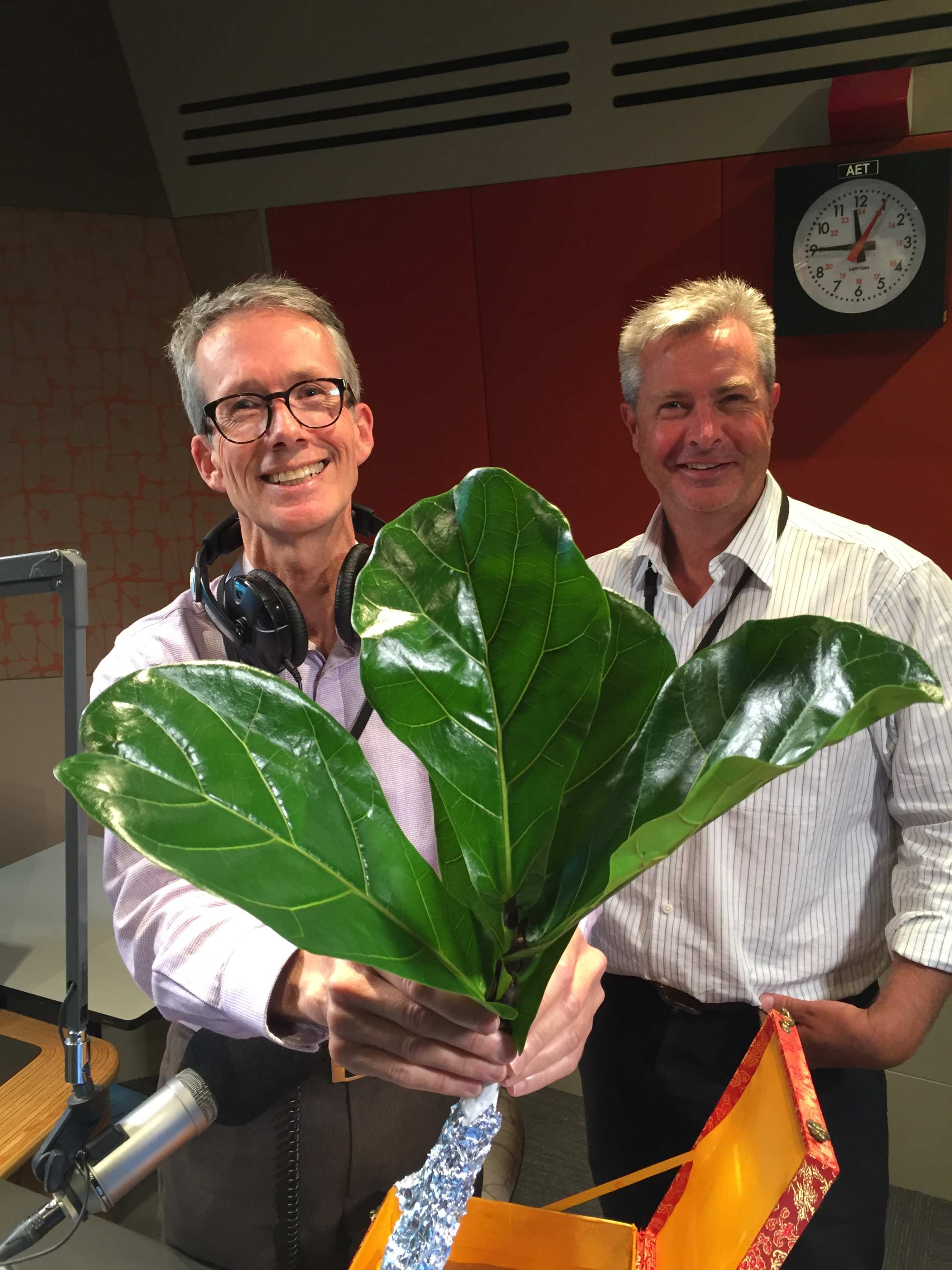 Faking it with plants - ABC Radio National