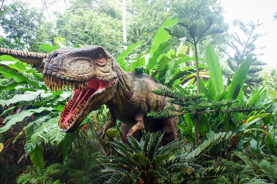 Boring Billion period built 'evolutionary pathways' for life on Earth ...