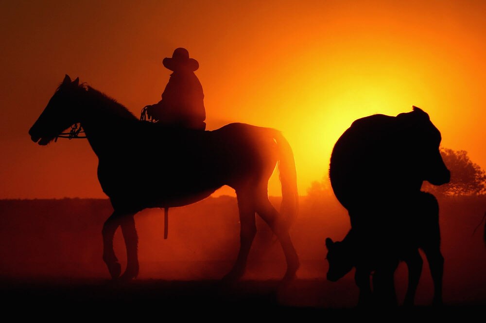 Was Clancy of the Overflow a real person? - ABC Radio National